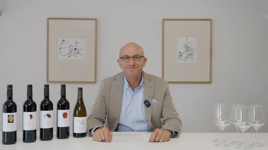 Cata de Enate – VinumPlay