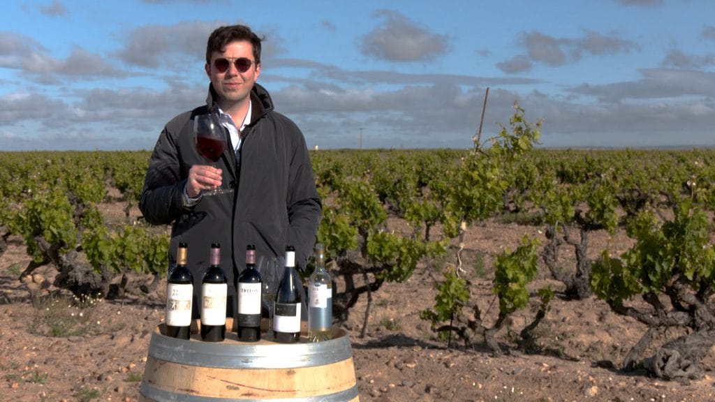 Cata de Vatán – VinumPlay