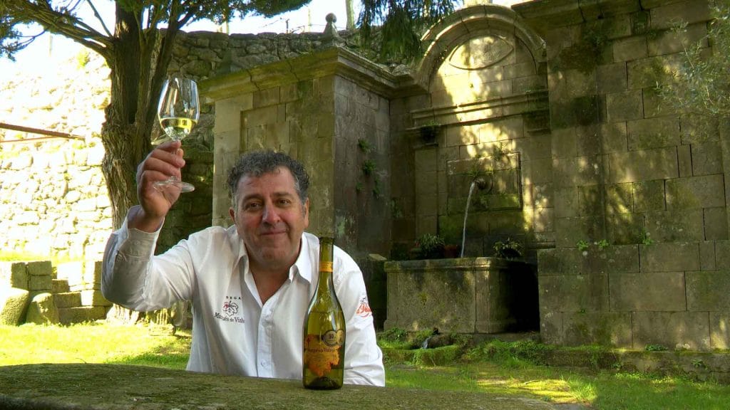 La gran catadora de la bodega – VinumPlay